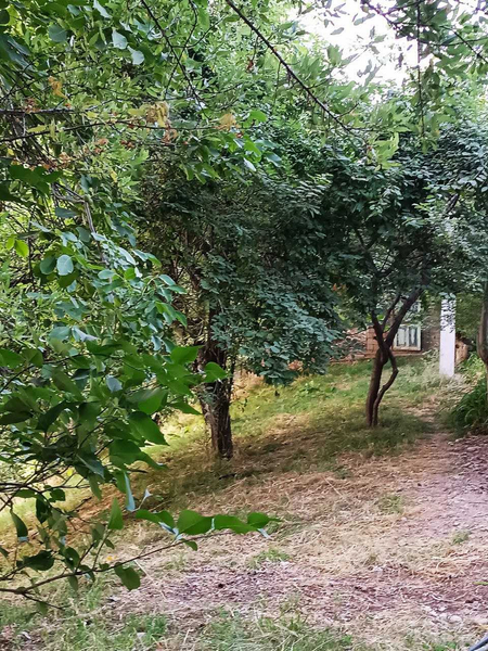 Маленькая дача над Чарваком, в поселке Богустан
