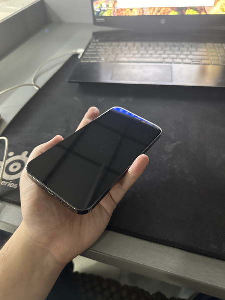 iPhone 12 Pro Max 256 Gb