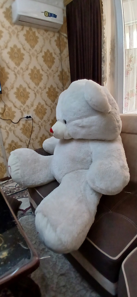 Yumshoq uyinchiq (Teddy Ayiqcha)