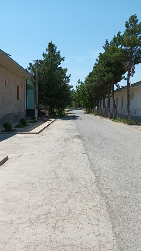 Участок с недвижимостью