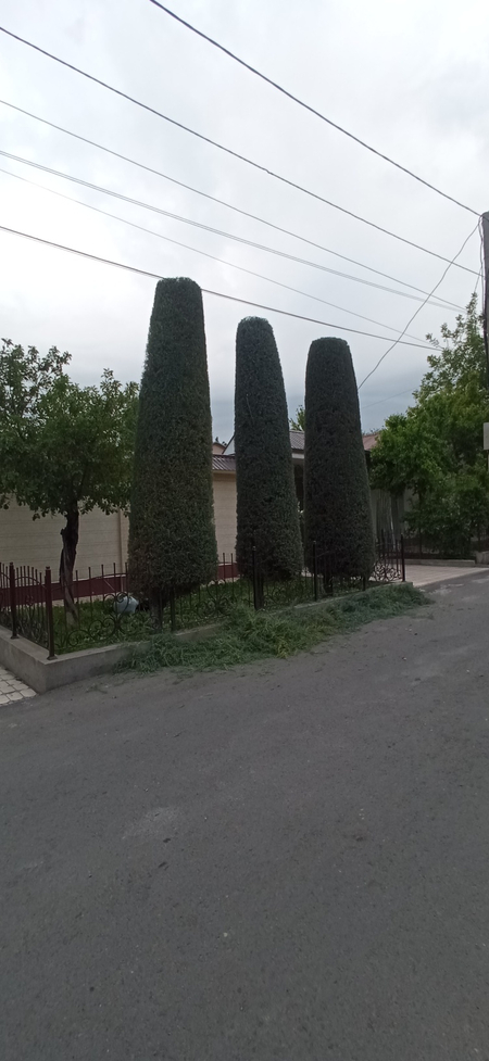 Óz ishini ustalari
