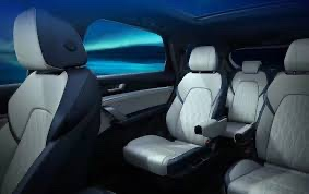 “Gonzo motors” BYD Tang