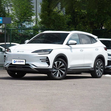 BYD Song Champion 520km Lizing Bor