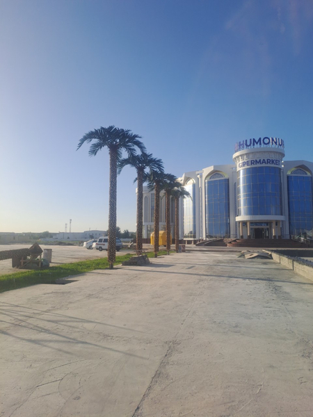 Palma Пальмы искусственные