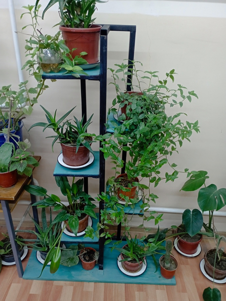 Гуллар учун подставкалар
