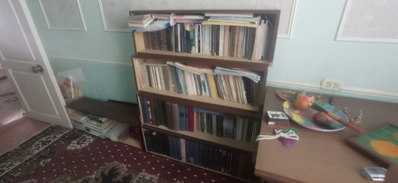 Книжный полка советский