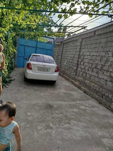Dala hovli, daca qibrayda