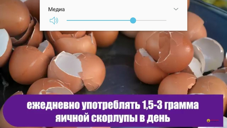 Kalsi tuhm pochoqdan qlingan arginali