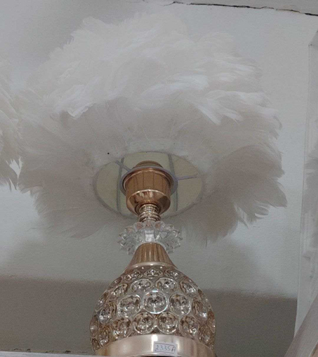 Лампа из птичьего пера. Patli lampa.