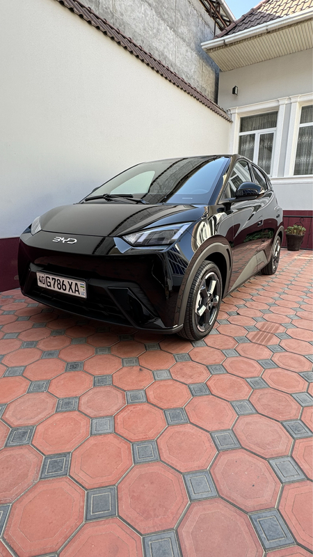 BYD segul 405 км краска топ тозза 2024 йил зарядниклари бор 12900 проб
