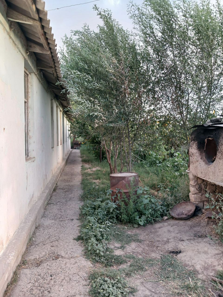 Ferma, molxona sotiladi