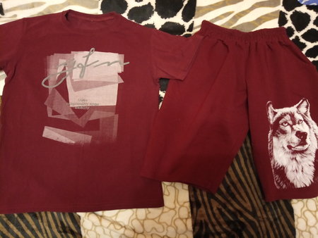 Футболки для мальчика Defacto, Red tag,Tommy
