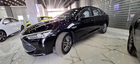 Byd Qin 101 km гибрид