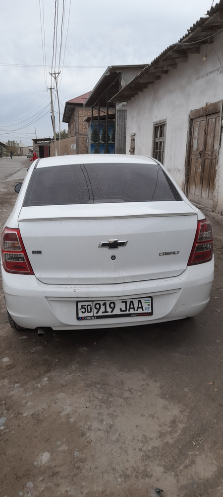 Cobalt sotilati yurgani391000