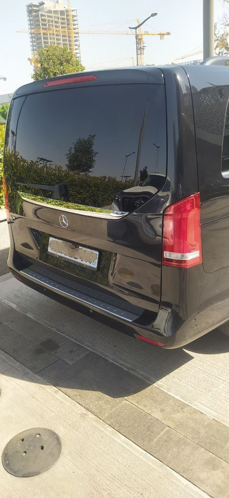 Mercedes Viano 2017