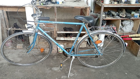 Velosiped germanya