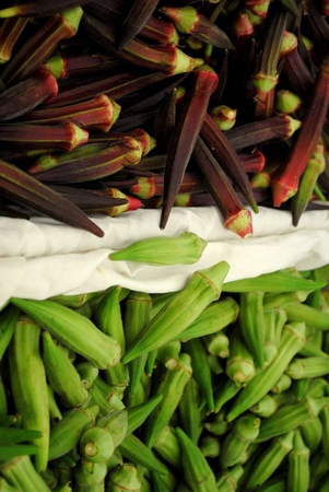 Bamiya oʻsimligi bor
