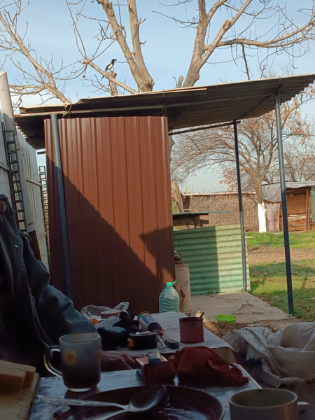 Помогу быстро недорого купить/продать ДАЧУ в Паркенте( Новбахор)
