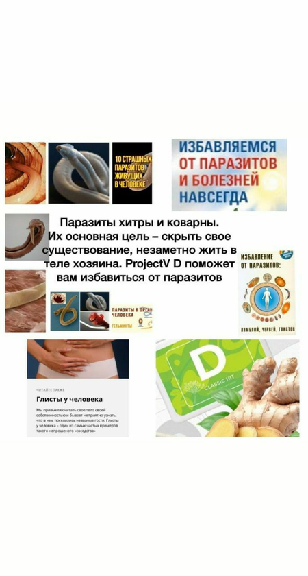 Vision optom maxsuloti orginal Fransiya viloyatlargayam dastavka bor