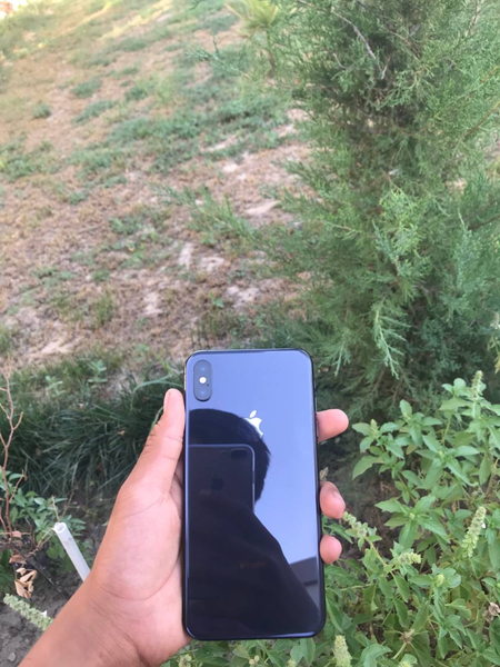 xs max 256 Gb ideal