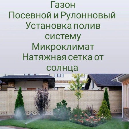 Посевной газон-рулон газона