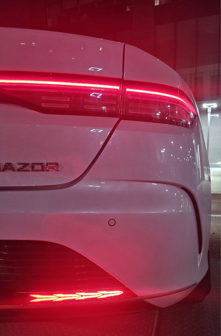 Задные LED фары для BYD Chazor