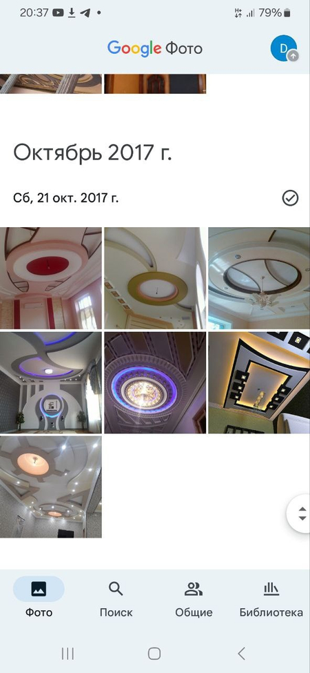 Дипсакардон кокамиз либбой фигурада