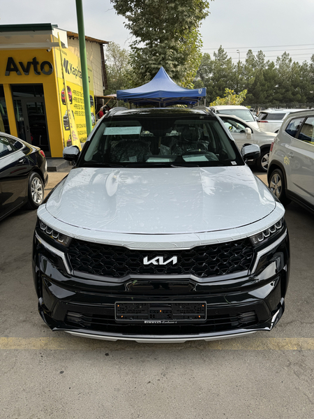 KIA SARENTO 2023 yil kraska toza
