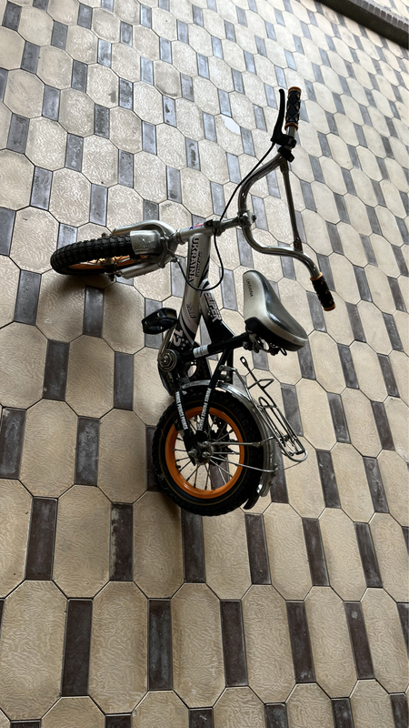 Velosiped 12 (bolalar uchun)