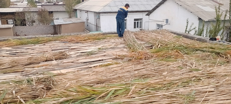 Камич камиш лобозга ишлатгани 1.5 кв йопади калин болади