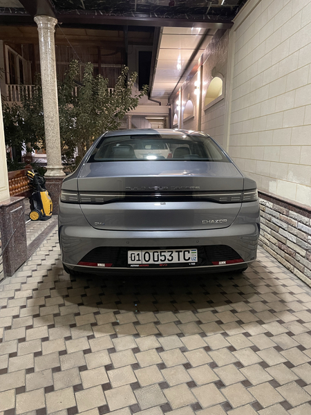 Byd chazor gibrid