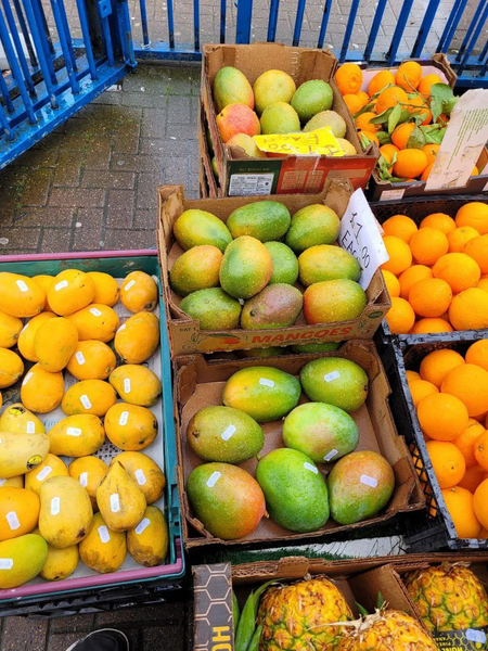 Mango kuchatlari bor alvonso sorti