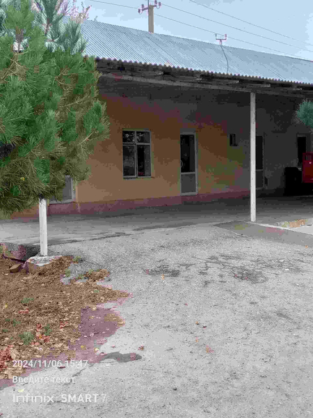 Tayyor dala hovli