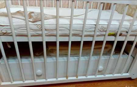 Детская кроватка