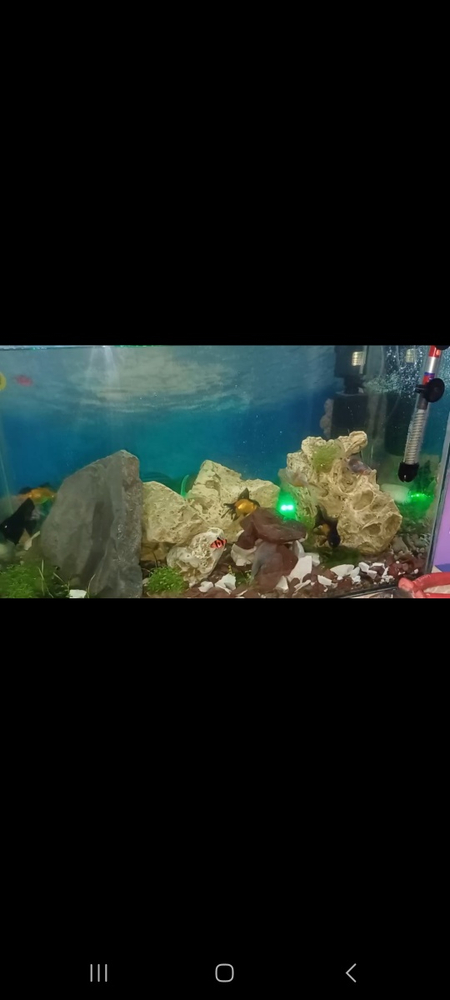 AQUAFISh (akvarium yasash)