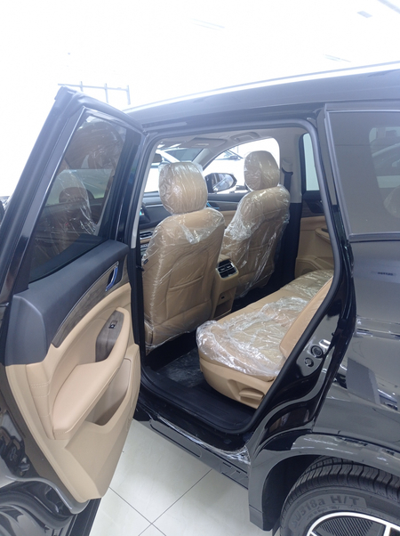 Dongfeng Fengon 2024