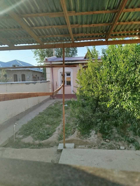 Shrederda kotej sotiladi.