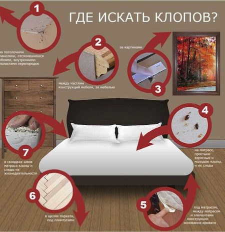 OOO “MEGA DEZ” быстро избавит Вас от всех грызунов и насекомых!!!