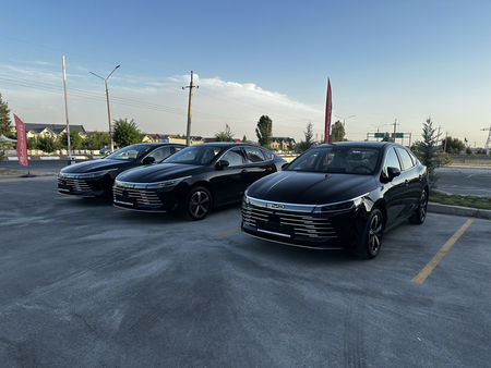 Byd chazor dm-i 2024
