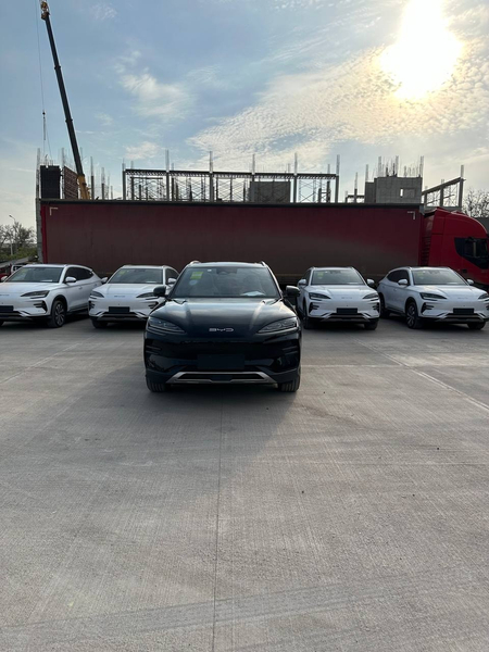 Byd chempion 605 ful