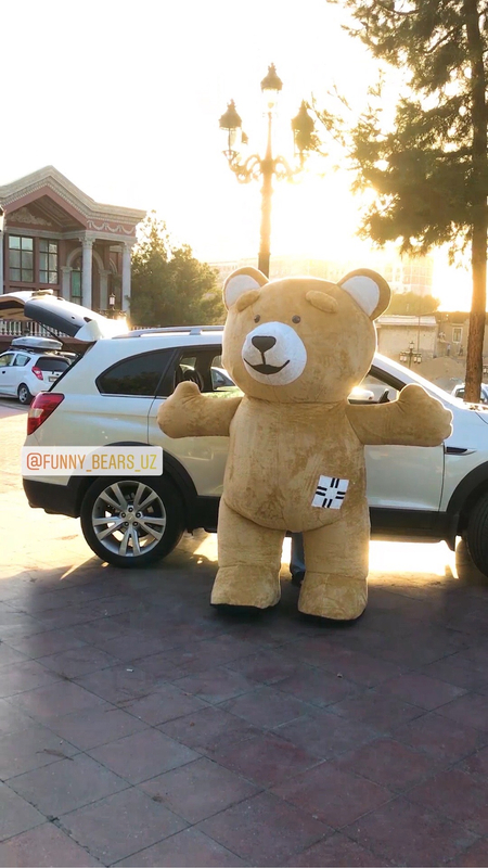 Sotiladi yengi Ayiq, Ayiqlar, Teddy ayiqlar.