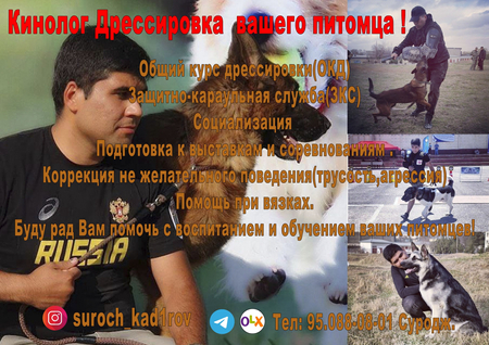 Кинолог Дрессировка собак.
