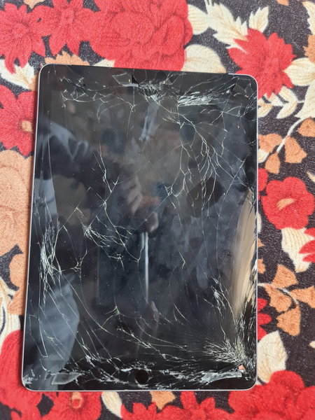 Ipad mini 6 128 gb