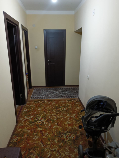 Sergili yangi xayot