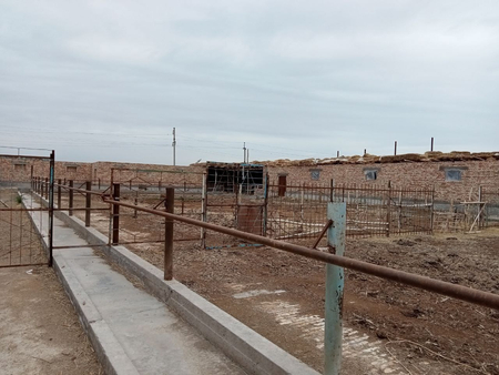 Тайяр Бизнес сатылады. Ферма һам Техникалары менен