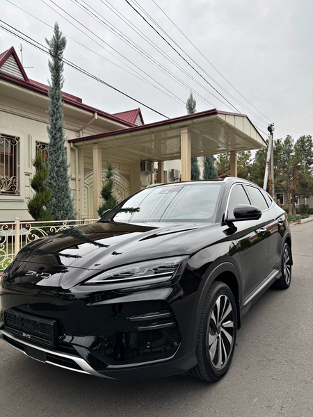 BYD Chempion Full (605 km) 2024 Состаяние йенгиде 100% топтоза