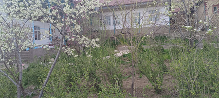 Dacha sotiladi buchkadan tepada sijjakda joylashgan