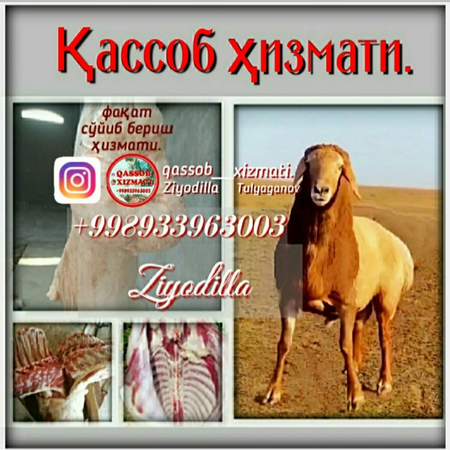 Qassob Кассоб Қассоб ҳизмати.