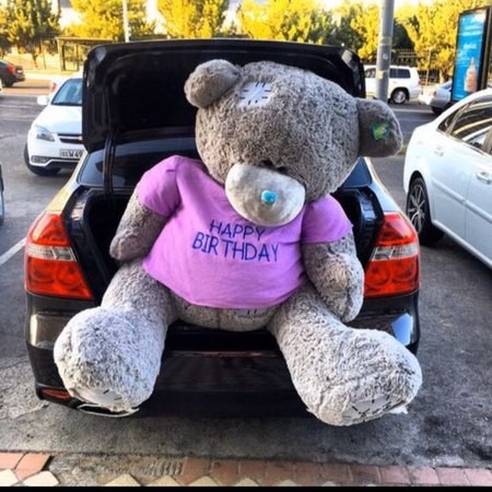 Teddy teddi teddiy 1+1aksiya
