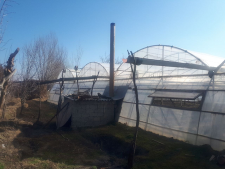 Issiqxona (kareyskiy tiplitsa